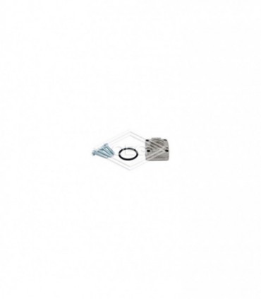 Bride Honeywell 3/8’’’ BSP, screw, gasket