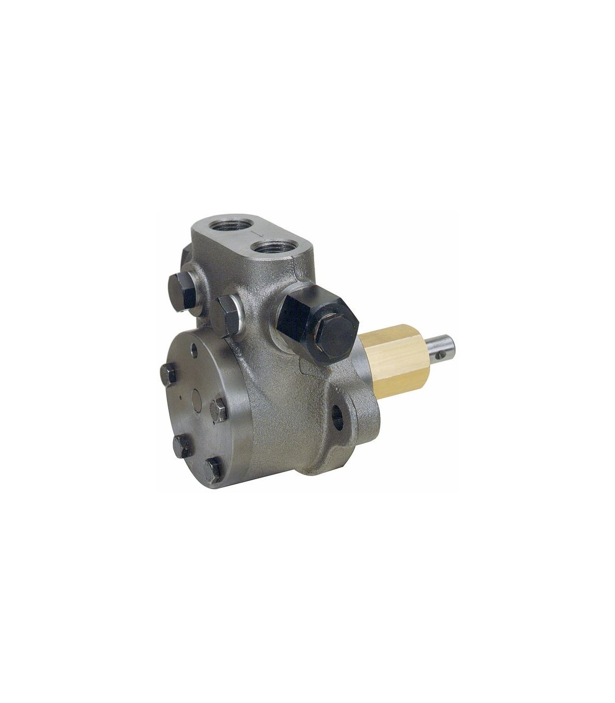 VBGG-IC 2, OEG/SAFAG internal gear pump