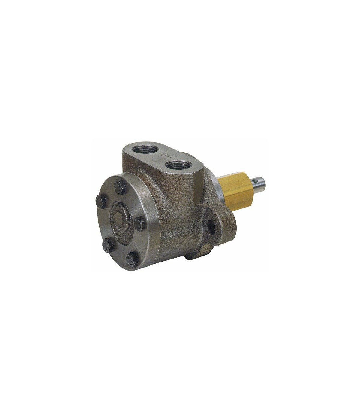 BG-IC internal gear pump, OEG-SAFAG