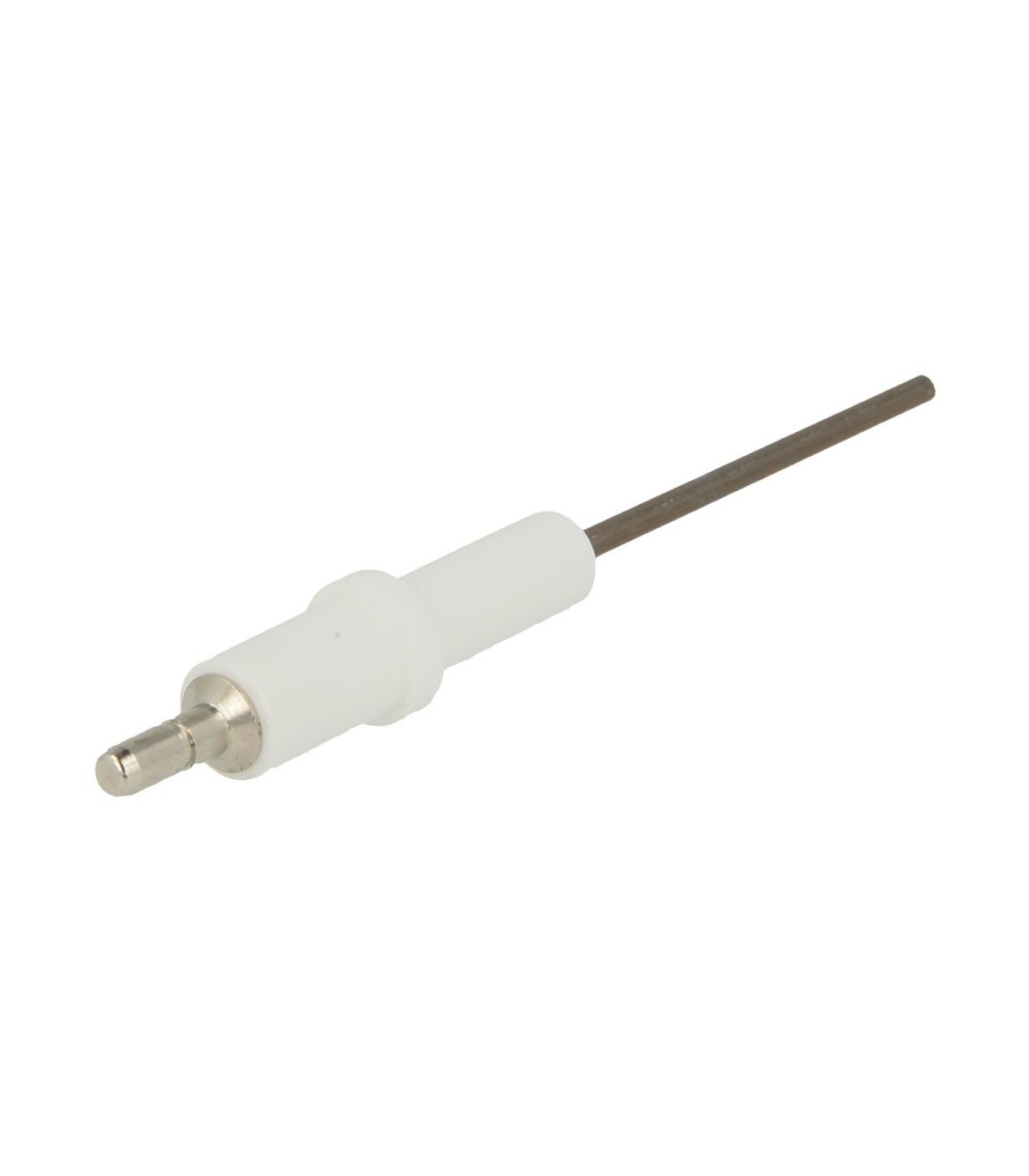 Electrodo de ionización